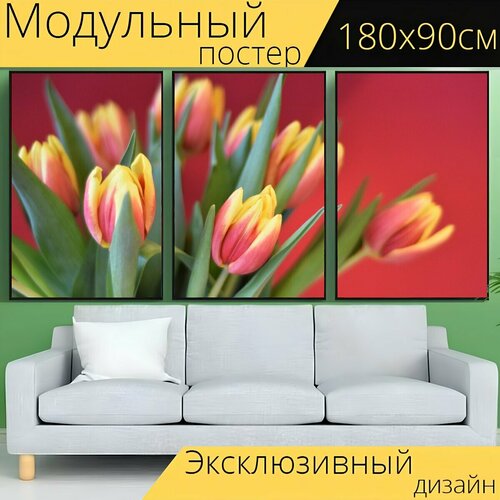 Модульный постер "Тюльпаны, цветок, букет тюльпанов" 180 x 90 см. для интерьера