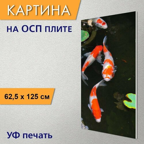 Вертикальная картина на ОСП "Карп, рыбы, водные животные" 62x125 см. для интерьериа