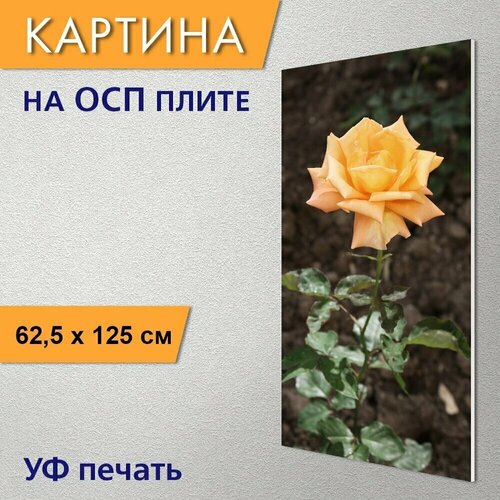 Вертикальная картина на ОСП "Цветок, роза, растение" 62x125 см. для интерьериа