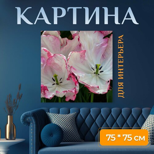 Картина на холсте "Тюльпан, пестик, тычинки" на подрамнике 75х75 см. для интерьера