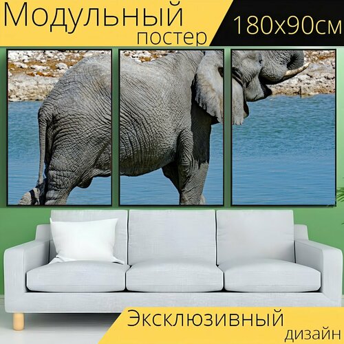 Модульный постер "Слон, животное, млекопитающее" 180 x 90 см. для интерьера