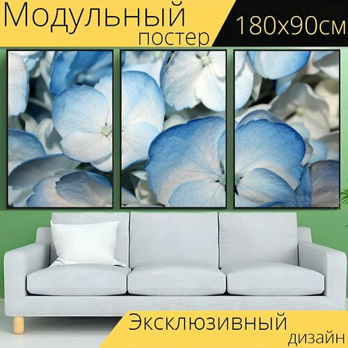 Модульный постер "Голубые гортензии, цветок, синий" 180 x 90 см. для интерьера