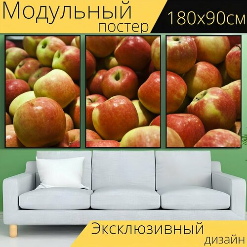 Модульный постер "Яблоки, фрукты, уборка урожая" 180 x 90 см. для интерьера