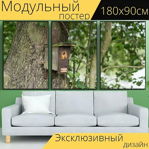 Модульный постер "Птичий домик, лес, дерево" 180 x 90 см. для интерьера