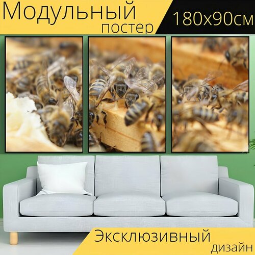Модульный постер "Пчелы, пчеловодство, улей" 180 x 90 см. для интерьера