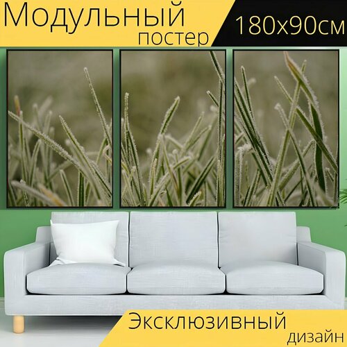 Модульный постер "Трава, иней, травинки" 180 x 90 см. для интерьера