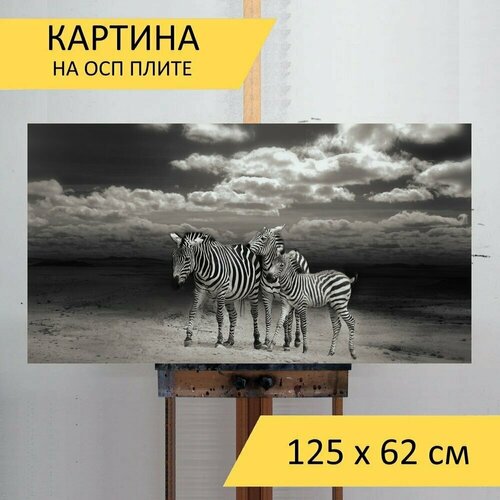 Картина на ОСП 125х62 см. "Зебры, дикие животные, зебру" горизонтальная, для интерьера, с креплениями