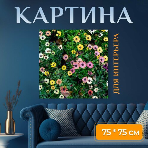 Картина на холсте "Весна, хризантема, цветок" на подрамнике 75х75 см. для интерьера