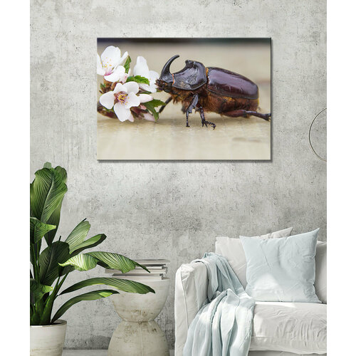 Картина - жук-носорог, жук, массивный жук, крупный жук, природа, макро (2) 40х60