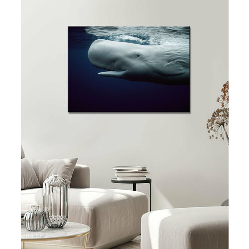 Картина - Кашалот, кашалоты, китообразные кашалоты, кашалот в океане, белый кашалот, кашалот альбинос (12) 20х30