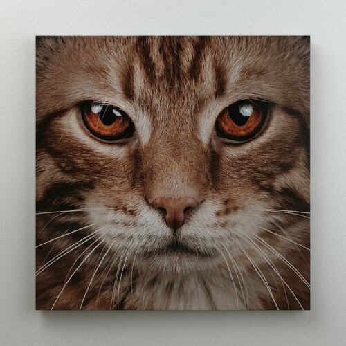Интерьерная картина на холсте "Оранжевые глаза кота" размер 35x35 см