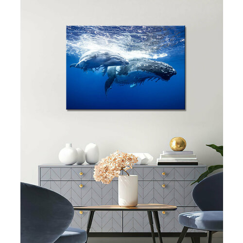 Картина - кит, синий кит, кит в океане, огромный кит, кит в воде (11) 50х70