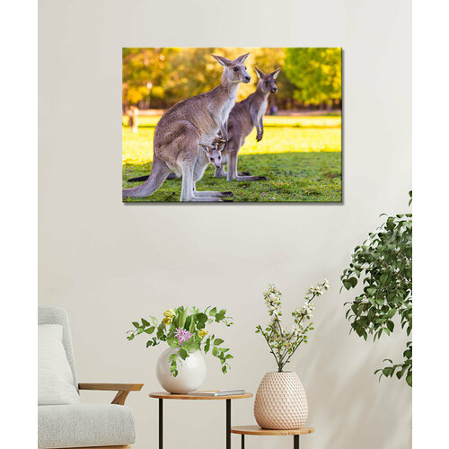 Картина - кенгуру, семья кенгуру, малыш кенгуру, кенгуру в сумке, кенгуру в природе (25) 50х70