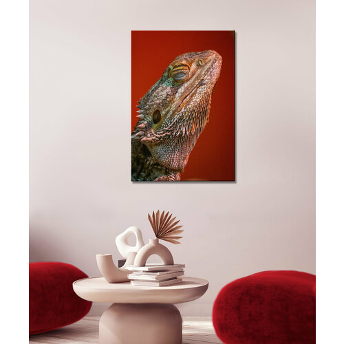 Картина -Игуана, мадагаскарская игуана, коричневая игуана (30) 20х30