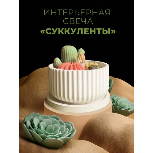 Интерьерная свеча "Суккуленты и кактус" в гипсовом кашпо