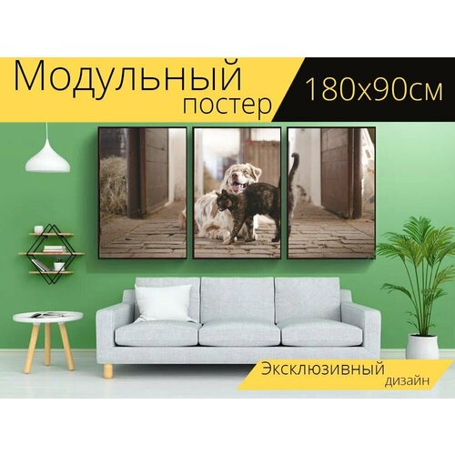 Модульный постер "Собака, кошка, домашние питомцы" 180 x 90 см. для интерьера