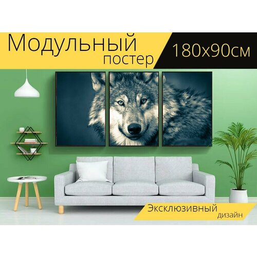 Модульный постер "Волк, голова волка, волки" 180 x 90 см. для интерьера