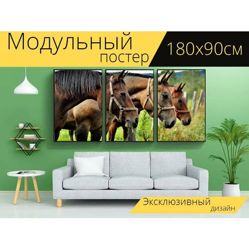 Модульный постер "Лошади, животные, лошадь" 180 x 90 см. для интерьера