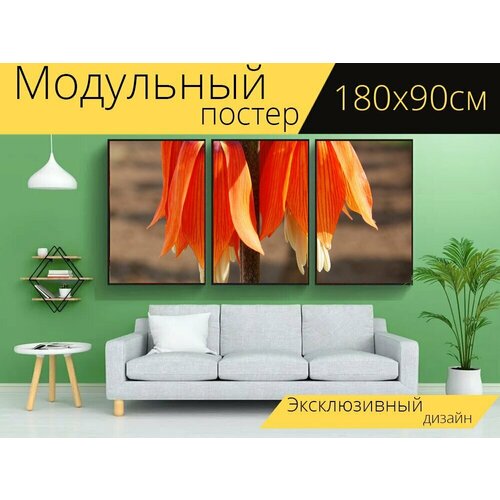 Модульный постер "Корона императорская, цветы, завод" 180 x 90 см. для интерьера