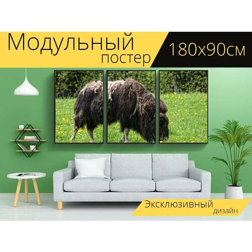 Модульный постер "Овцебык, животное, дикая природа" 180 x 90 см. для интерьера