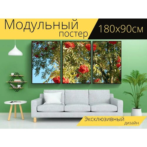 Модульный постер "Рябина, ягода, красный" 180 x 90 см. для интерьера