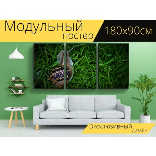Модульный постер "Улитка, лужайка, трава" 180 x 90 см. для интерьера