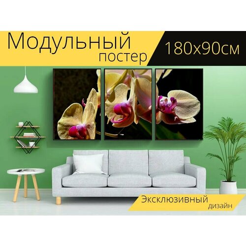 Модульный постер "Орхидеи, желтый, розовый" 180 x 90 см. для интерьера