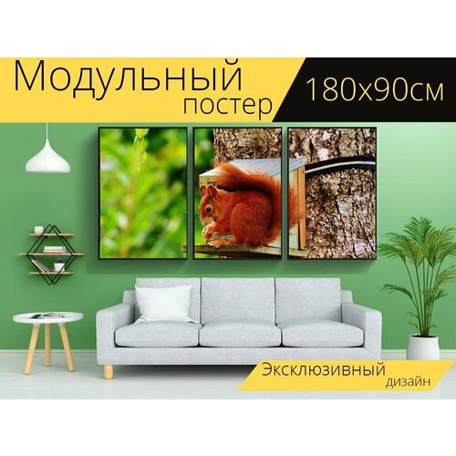 Модульный постер "Белка, грызун, милый" 180 x 90 см. для интерьера