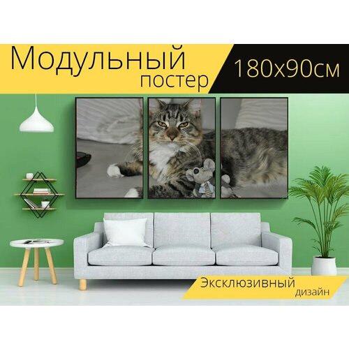 Модульный постер "Кот, игрушка, мышь" 180 x 90 см. для интерьера