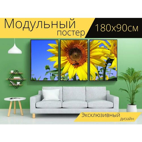 Модульный постер "Подсолнухи, подсолнечник, желтый" 180 x 90 см. для интерьера