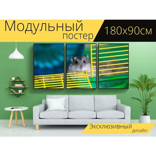 Модульный постер "Хомяк, домашний питомец, млекопитающее" 180 x 90 см. для интерьера