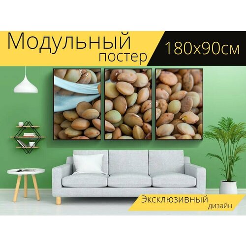 Модульный постер "Чечевица, продукты питания, бежевый" 180 x 90 см. для интерьера