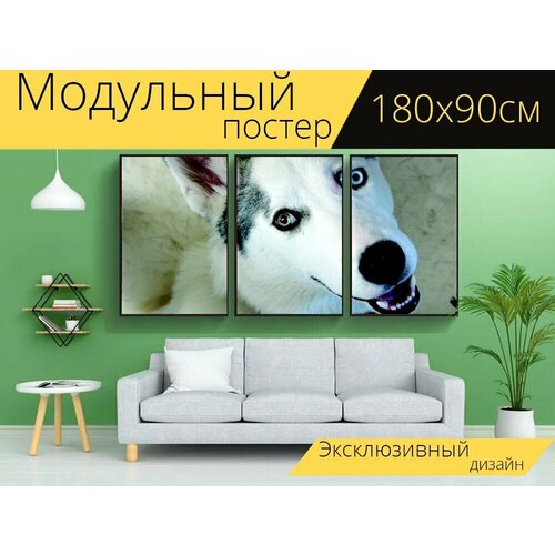 Модульный постер "Собака, волк, талисман" 180 x 90 см. для интерьера