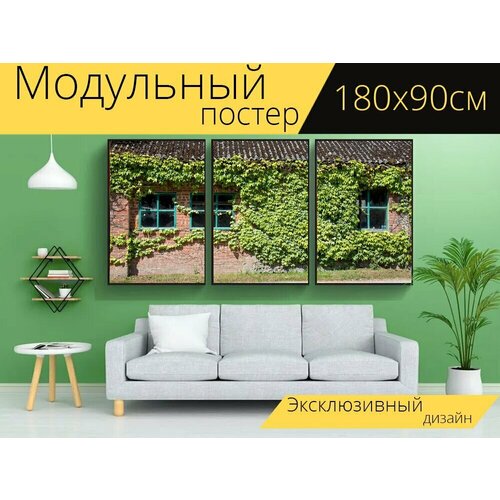 Модульный постер "Плющ, окно, окна" 180 x 90 см. для интерьера
