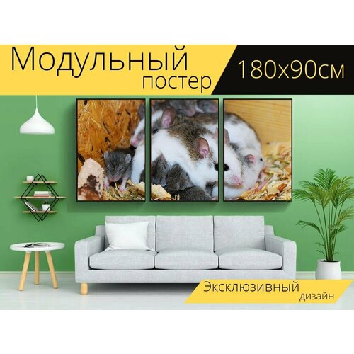 Модульный постер "Мышей, много сосков мышей, милый" 180 x 90 см. для интерьера