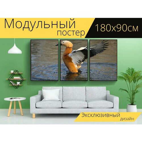 Модульный постер "Огарь, птица, пруд" 180 x 90 см. для интерьера