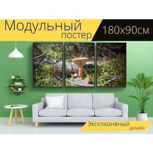 Модульный постер "Лес, гриб, осень" 180 x 90 см. для интерьера