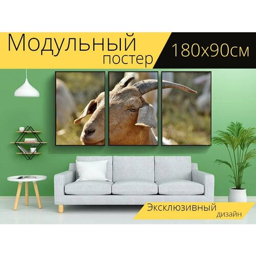Модульный постер "Козел, эспаньолка, сельскохозяйственное животное" 180 x 90 см. для интерьера