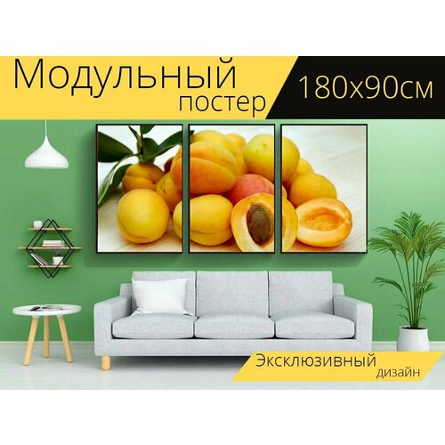 Модульный постер "Абрикосы, фрукты, еда" 180 x 90 см. для интерьера