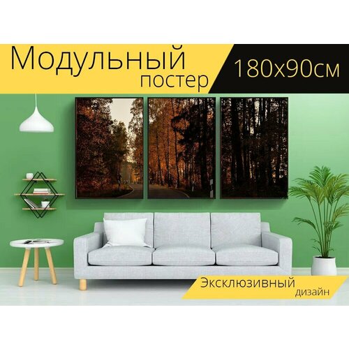 Модульный постер "Дорога, лес, береза" 180 x 90 см. для интерьера