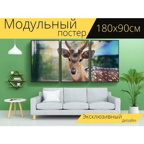 Модульный постер "Красный олень, дикий, лес" 180 x 90 см. для интерьера