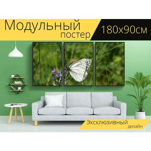 Модульный постер "Полевые цветы, бабочка, цветок" 180 x 90 см. для интерьера
