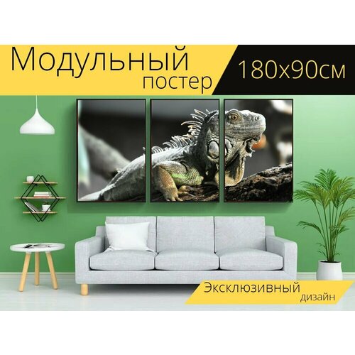 Модульный постер "Ящерица, рептилия, серый" 180 x 90 см. для интерьера