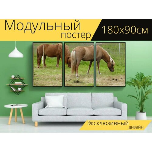 Модульный постер "Лошадь, исландия, исландская лошадь" 180 x 90 см. для интерьера