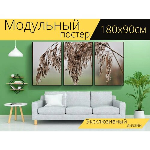 Модульный постер "Капли воды, мокрый, трава" 180 x 90 см. для интерьера