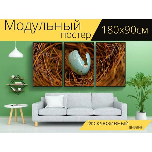 Модульный постер "Инкубационное яйцо, гнездо, яйцо" 180 x 90 см. для интерьера