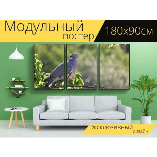 Модульный постер "Птица, кольцо голубь, голубь" 180 x 90 см. для интерьера