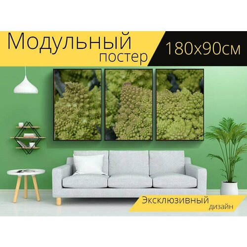Модульный постер "Овощи, цветная капуста, зеленый" 180 x 90 см. для интерьера