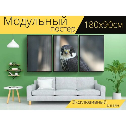 Модульный постер "Сокол камерюнкер, ящер, овернь" 180 x 90 см. для интерьера
