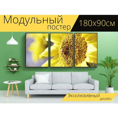 Модульный постер "Подсолнух, цветок, цвести" 180 x 90 см. для интерьера